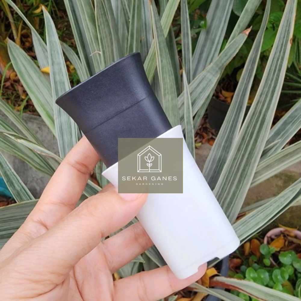 Jual LUSINAN ISI 12 PCS HDG KOTAK SEGI 5 CM HITAM PUTIH pot bunga ...