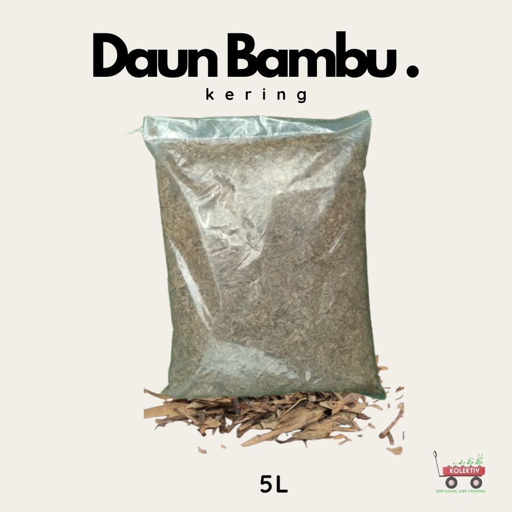 Jual Daun Bambu Kering 5L | Shopee Indonesia