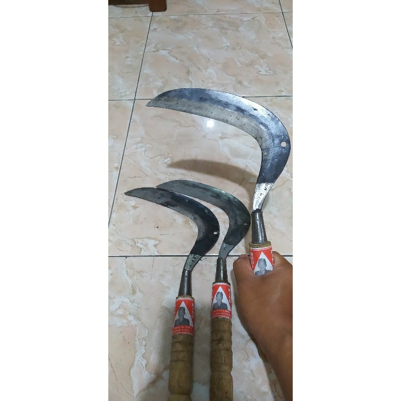 Jual PISAU RUMPUT KECIL SPER TAJAM | Shopee Indonesia