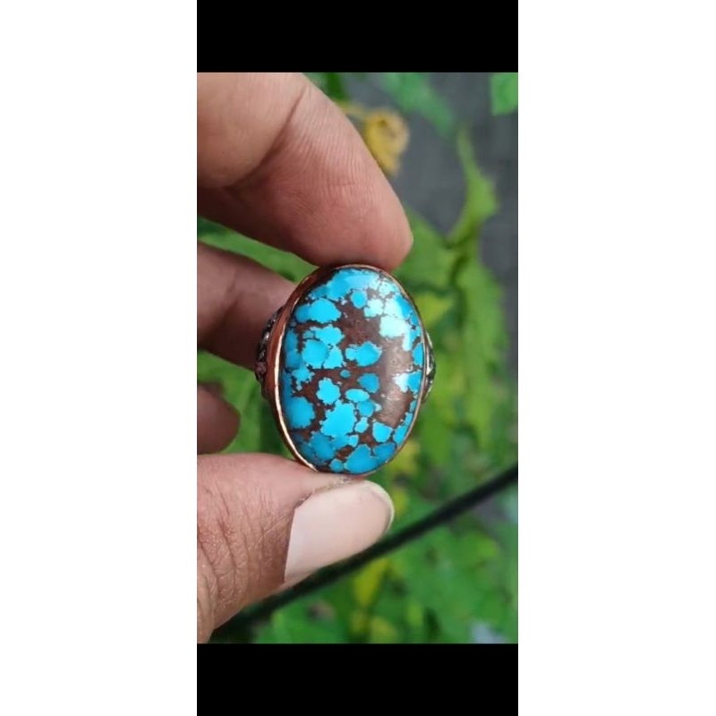 Jual Natural pirus mesir biru gradasi | Shopee Indonesia