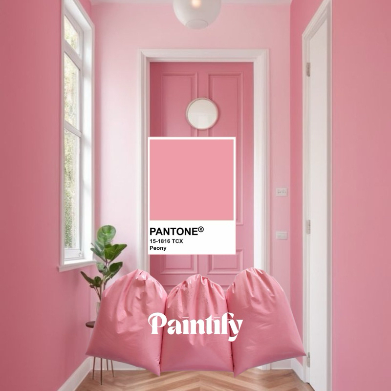 Jual (1KG) Cat Tembok Doff Warna Pink Muda by Paintify | Shopee Indonesia
