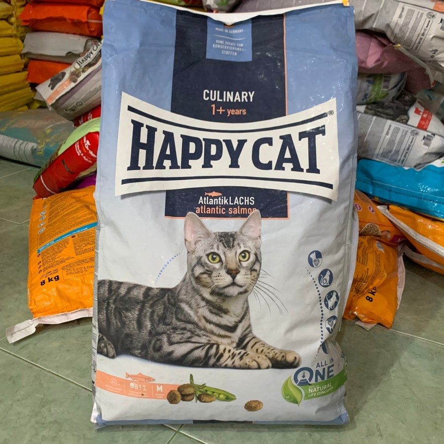 Jual GRAB/GOJEK HAPPY CAT SALMON CULINARY ATLANTIC SALMON SUPREME 10 KG ...
