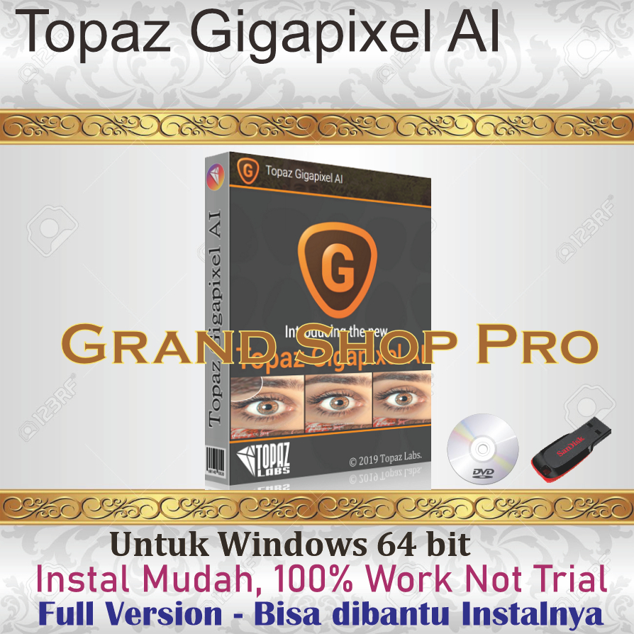 Jual Topaz Gigapixel AI 8.2.1 (Full Version, Not Trial) | Shopee Indonesia