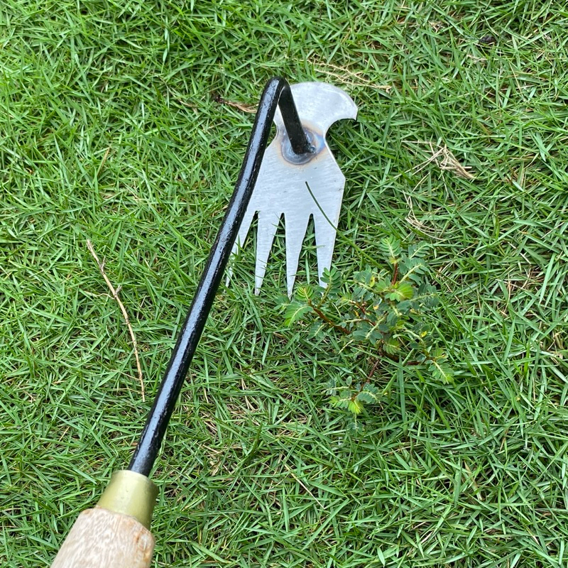 Jual Alat mencabut rumput liar 4 gigi kuat untuk taman maupun kebun ...