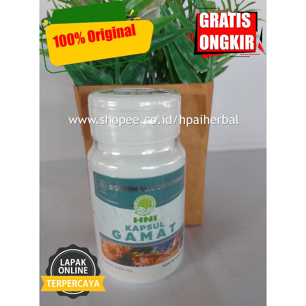Jual Gamat HNI - kapsul yang terbuat dari teripang emas Isi 60 Kapsul ...
