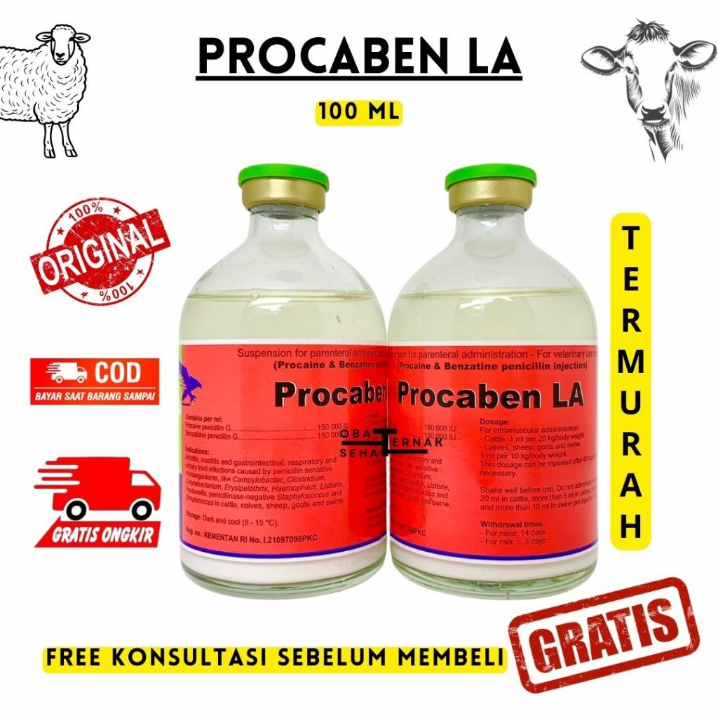 Jual PROCABEN LA 100ML - Original Pengganti Penstrep 400 | Shopee Indonesia