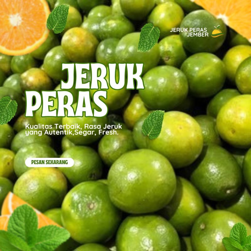 Jual Jeruk Peras Super 500gram khas Jember | Shopee Indonesia