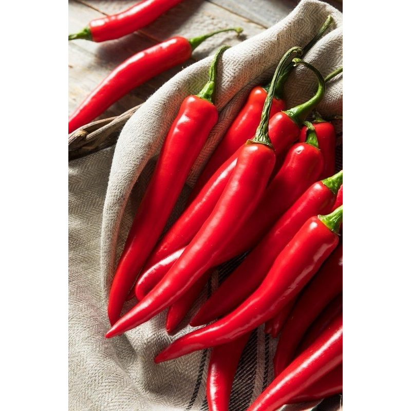 Jual Cabai Merah Segar 1kg | Shopee Indonesia