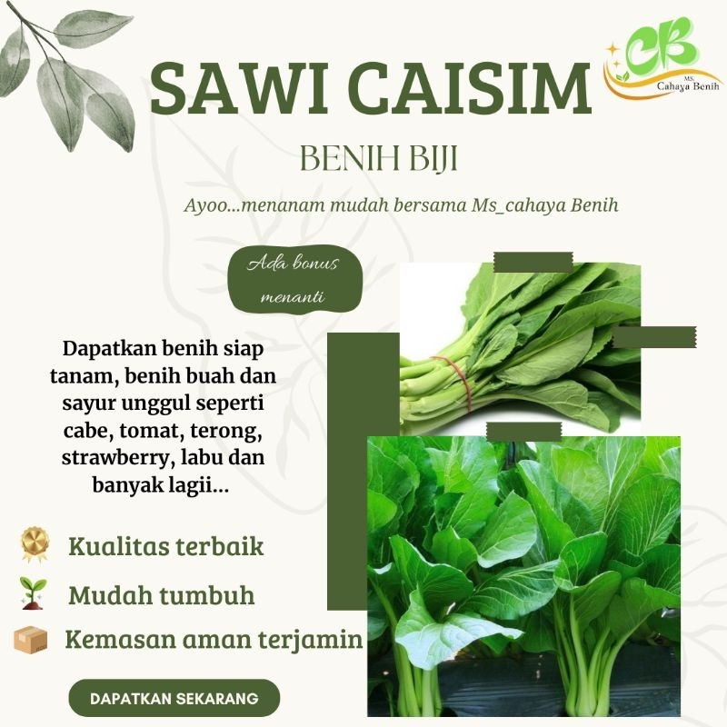 Jual Benih biji caisim manis paket 1000, bibit sawi caisim manis ...