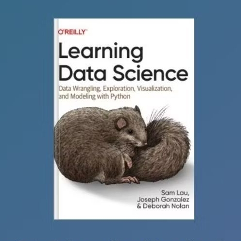 Jual Learning Data Science: Data Wrangling, Exploration, Visualization, and Modeling with Python ...