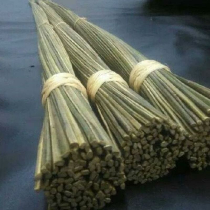 Jual Sapu Lidi Aren Asli Kualitas Super Per Ikat(isi 50) | Shopee Indonesia
