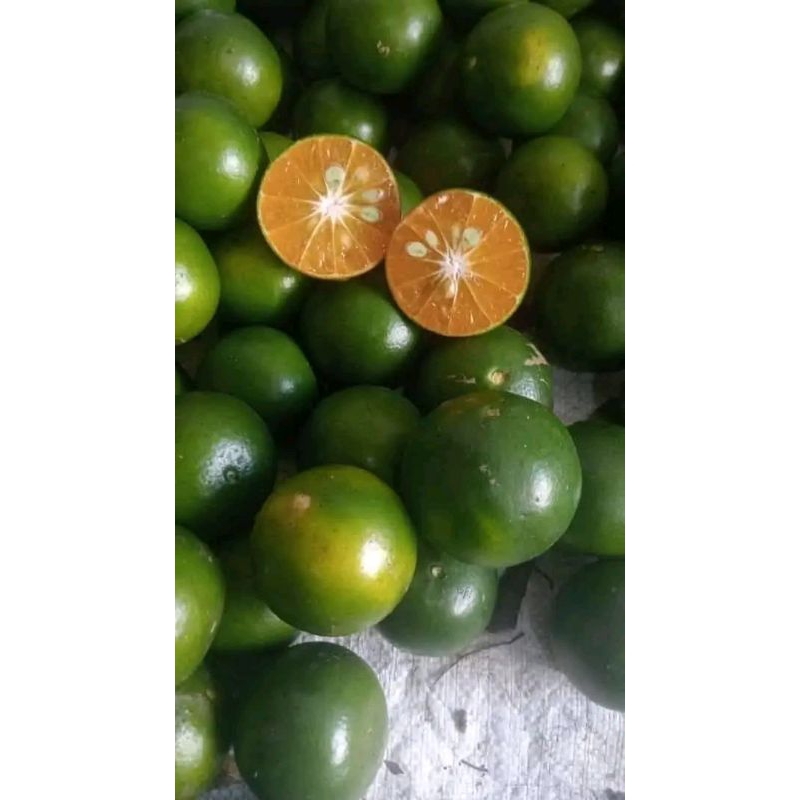 Jual jeruk peras jeruk kasturi / jeruk minuman segar 500g | Shopee ...