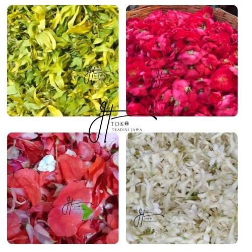 Jual BUNGA ARI-ARI SEGAR ( Kembang BATUR Sekar Campur Fresh ) | Shopee ...