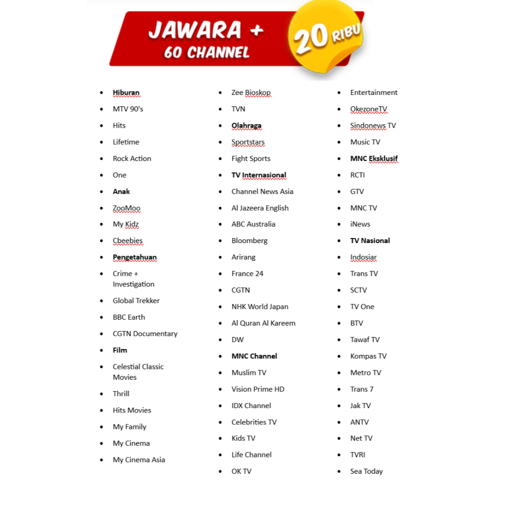 Jual Dekoder Perangkat Paket Khusus MNC Vision MVP, Film, Gila Bola (Gibol), NHK Premium dan ...