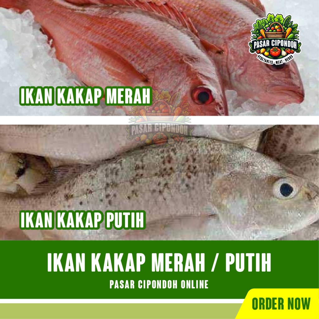 Jual Ikan Kakap Merah / Kakap Putih Mentah Segar 1 kg - Pasar Cipondoh ...