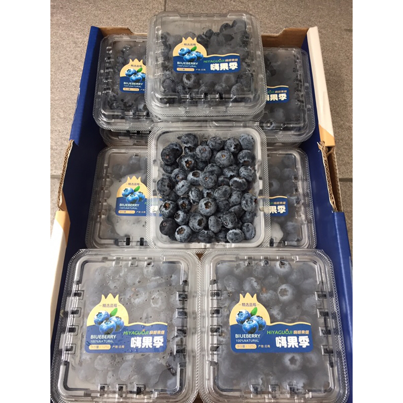 Jual Blueberry RRC 1 Dus (12 Pack) Fresh Import | Shopee Indonesia
