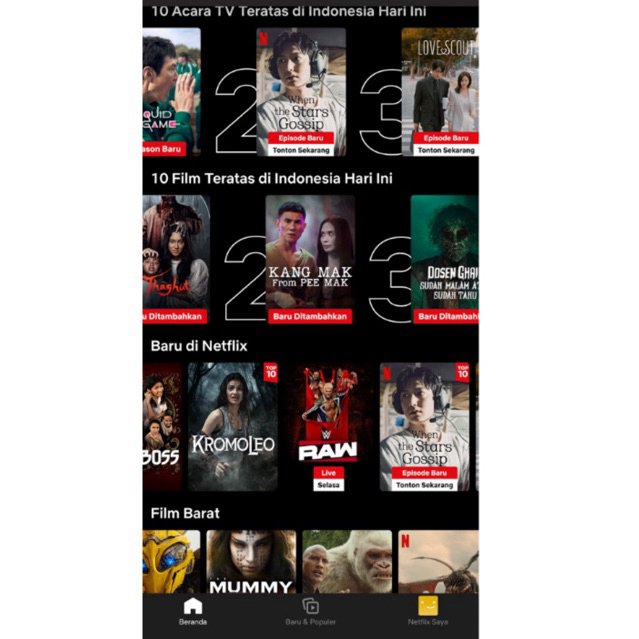 Jual Netflix Private Profil Full 100% garansi, sudah Ratusan Testi ...