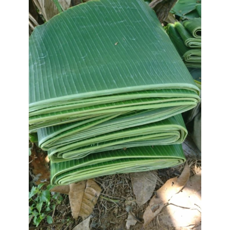 Jual Daun Pisang segar daun pisang hijau daun pisang kepok daun pisang ...