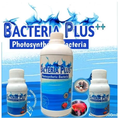 Jual Bakteri Starter Bacteria Plus Probiotik 500 ml untuk Aquarium dan ...
