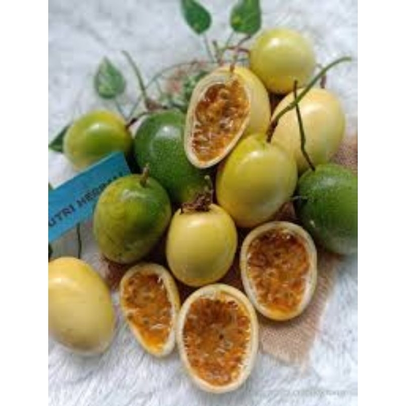 Jual buah markisa kuning 1 kg | Shopee Indonesia