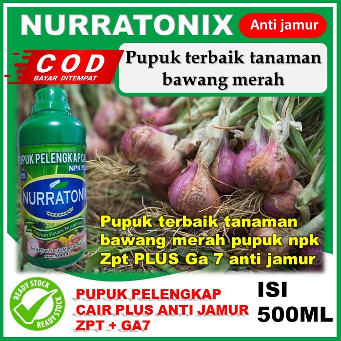 Jual Pupuk NPK ZPT Plus GA7 penyubur tanaman bawang merah anti jamur pupuk pelengkap terbaik ...