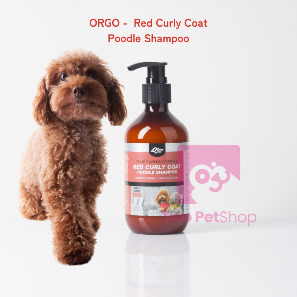 Jual ORGO - Red Curly Coat Poodle Shampoo - Shampoo Anjing Red Toy ...