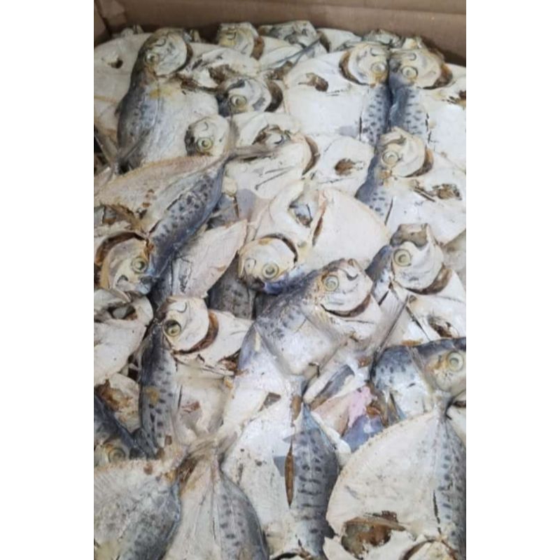 Jual Ikan asin semar / Ikan asin kapak 250gr | Shopee Indonesia