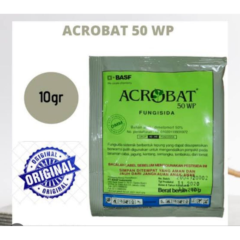 Jual Acrobat 50Wp ( 40gr ) | Shopee Indonesia