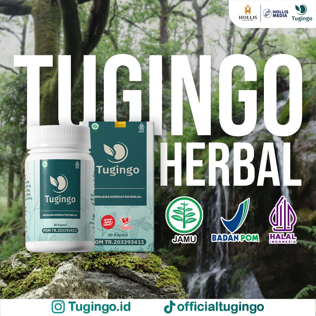 Jual Tugingo 60 Kapsul Obat Herbal Ginjal Bengkak dan Sakit Pinggang ...
