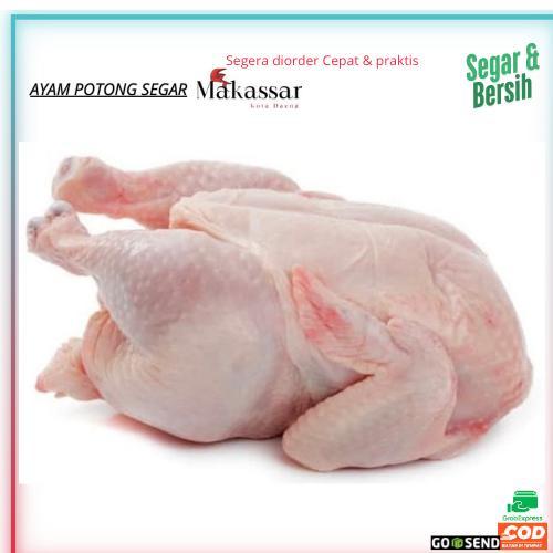 Jual ayam,ayam potong segar,(1 Ekor).tanpa pengawet,Tanpa di suntik ...