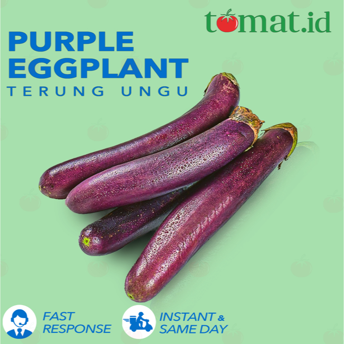 Jual Terong Ungu | Shopee Indonesia