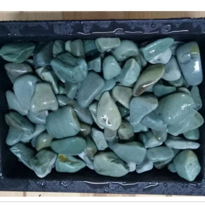 Jual Batu koral hijau Flores 10 kg | Shopee Indonesia