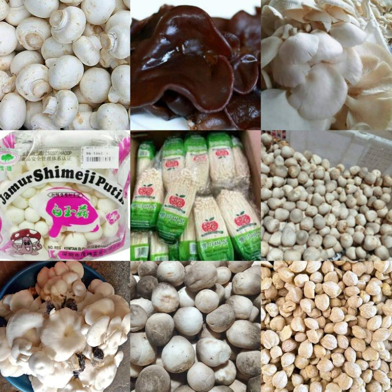 Jual JAMUR MERANG / JAMUR TIRAM / JAMUR KUPING / JAMUR SHITAKE / JAMUR ...