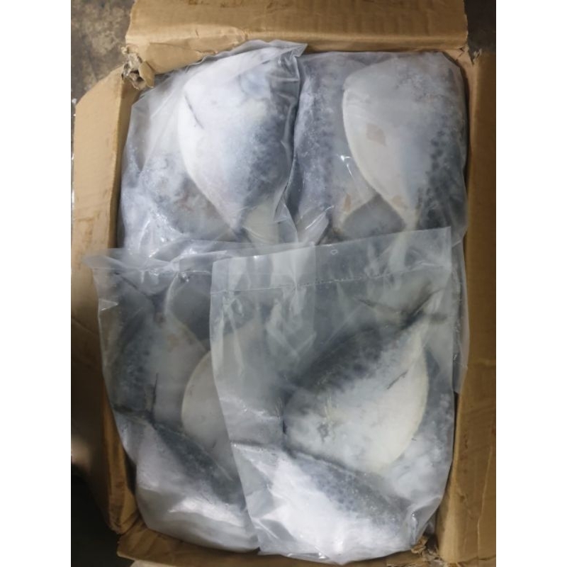 Jual Ikan Semar @1kg /Frozen ikan semar | Shopee Indonesia