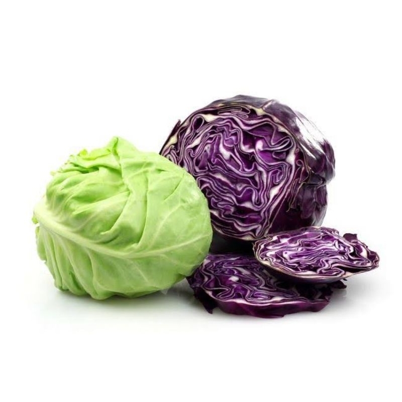 Jual Kol ungu segar 1KG - kol merah - red cabbage import - purple ...