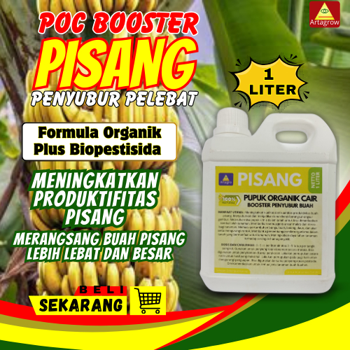 Jual Pupuk Pisang Agar Cepat Berbuah / Pupuk Pisang Penyubur Pelebat Buah / Pupuk Perangsang ...