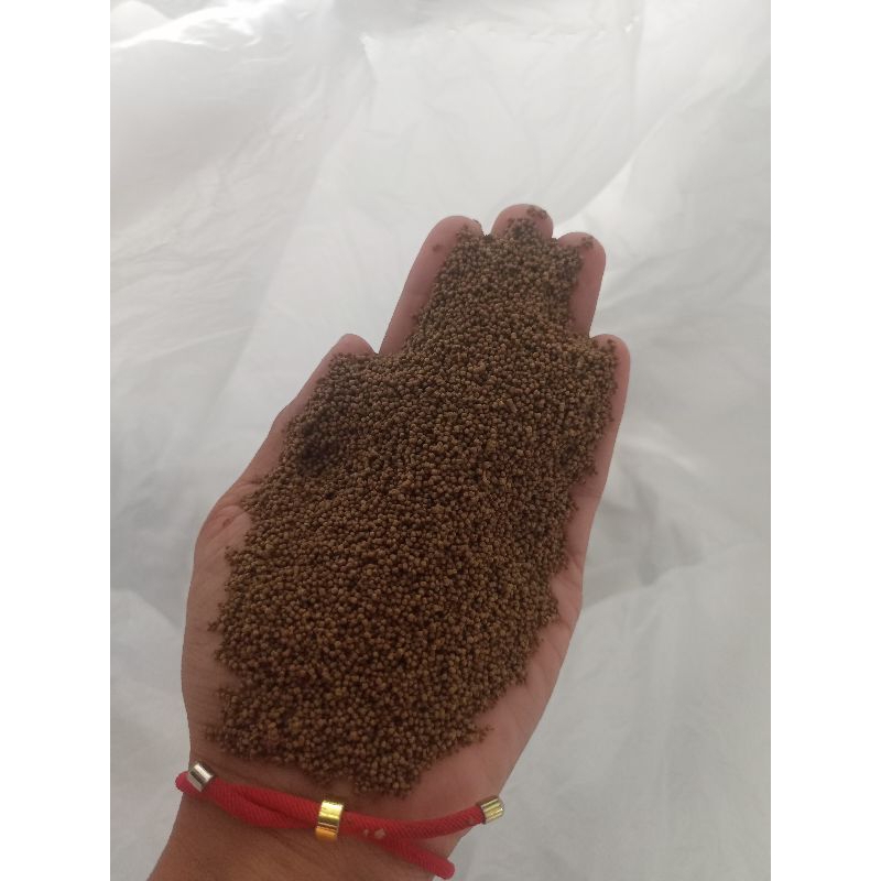 Jual NANOLIS pakan benih ikan lele ikan gurami mujaer berat 250g ...