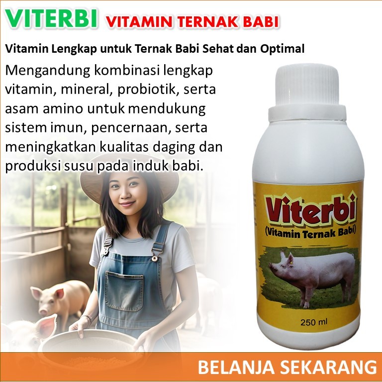 Jual VITERBI / Vitamin ternak babi terbaik / Suplemen babi cepat besar ...