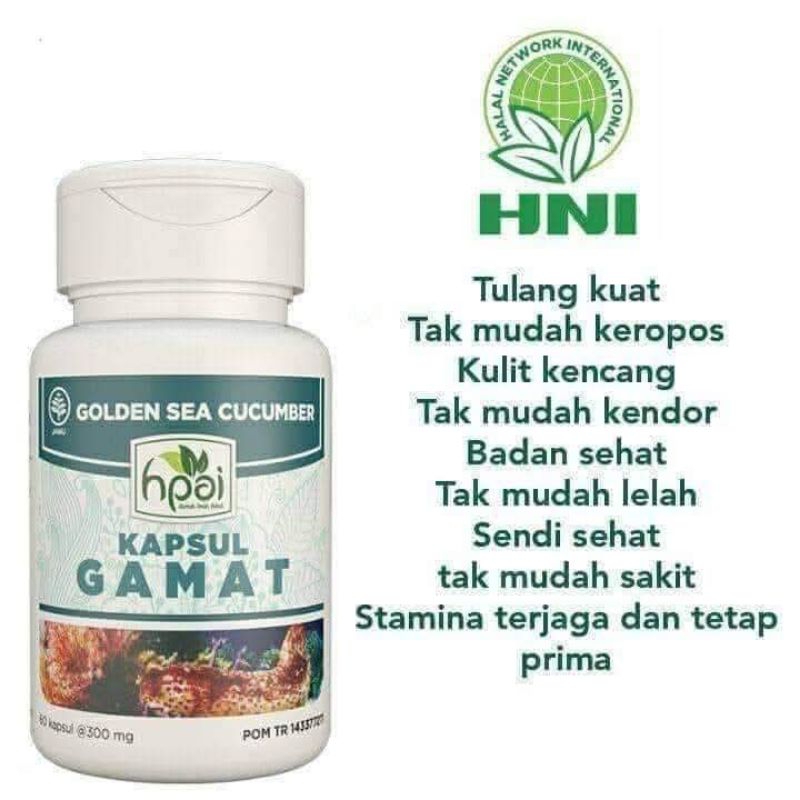 Jual HNI Kapsul Gamat Golden Sea Cucumber | Shopee Indonesia