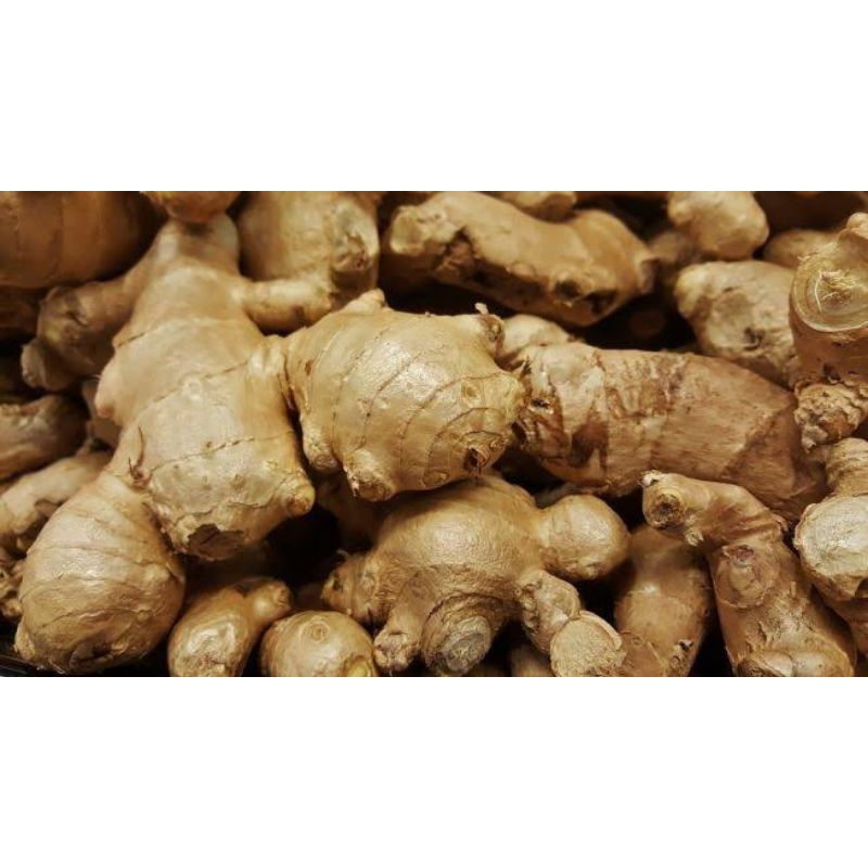 Jual Rempah/Jahe/kunyit/lengkuas/sereh fresh 1kg | Shopee Indonesia