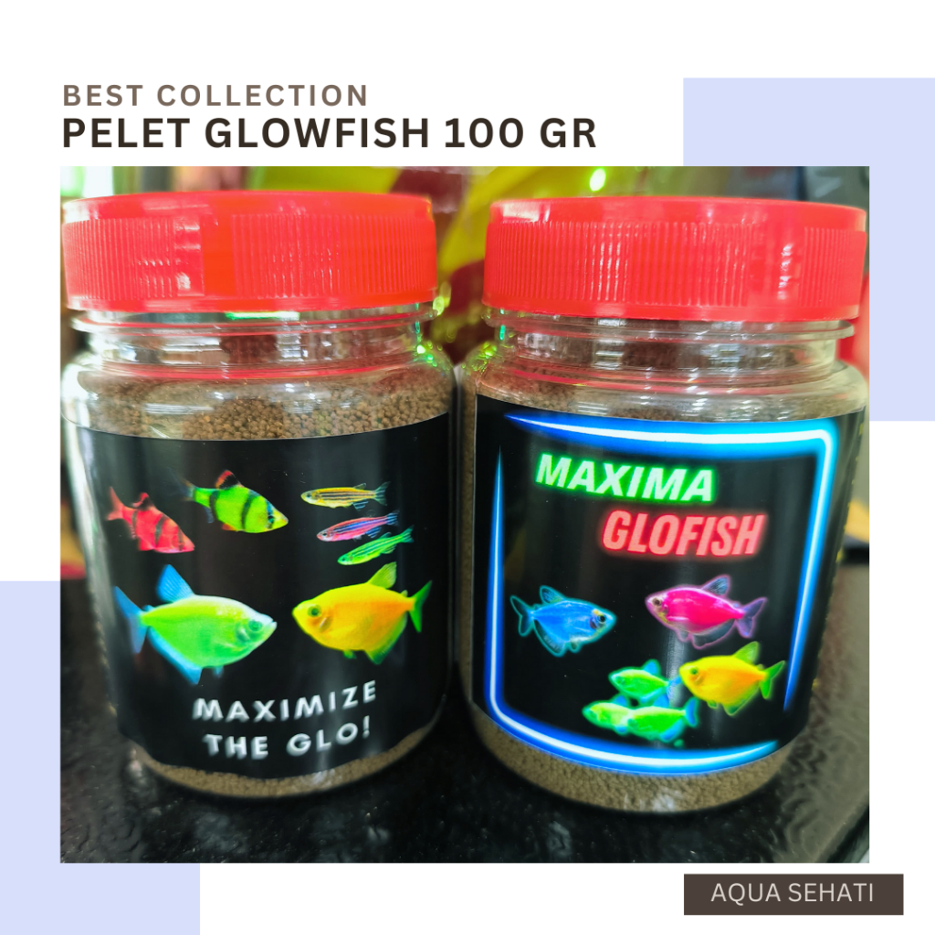 Jual Pelet Ikan Hias Kecil Pelet Glowfish Premium MAXIMA GLOWFISH 100 Gram 100gr | Shopee Indonesia