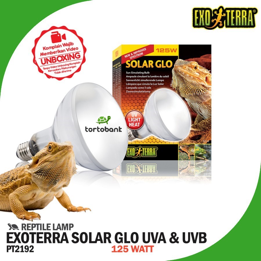Jual LAMPU EXO TERRA SOLAR GLO 125W EXOTERRA - LAMPU REPTIL UVA UVB - LAMPU SULCATA PARDALIS ...