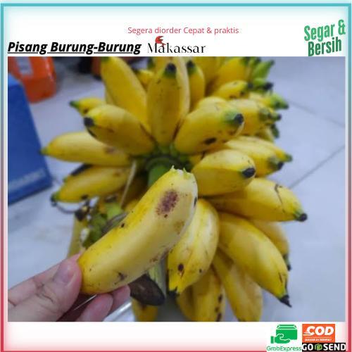 Jual Pisang burung-burung Murah segar makassar pasar terong dan pasar ...