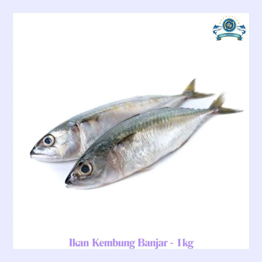 Jual Frozen Ikan Kembung Banjar 1kg (6-8pcs per pack) | Shopee Indonesia