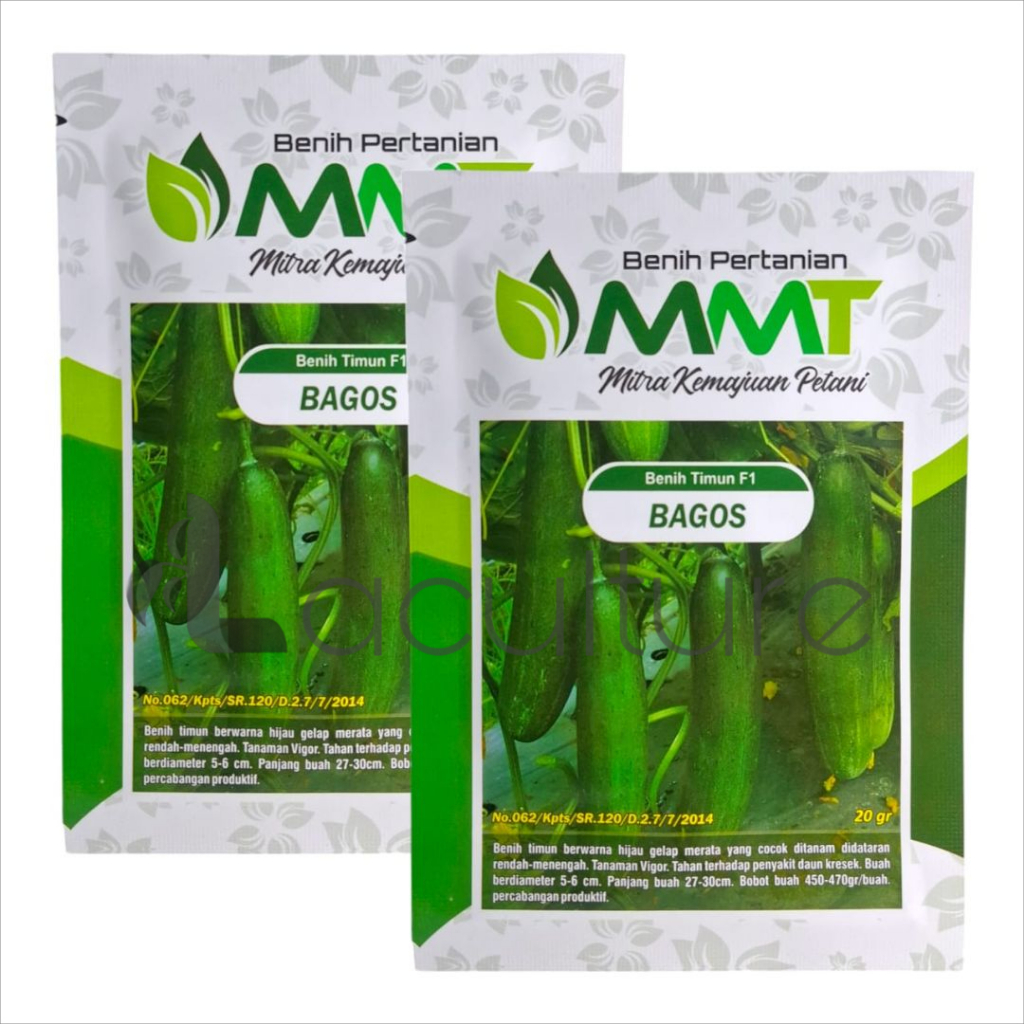 Jual Benih Timun Mentimun BAGOS F1 Isi 20 gram Benih MMT | Shopee Indonesia
