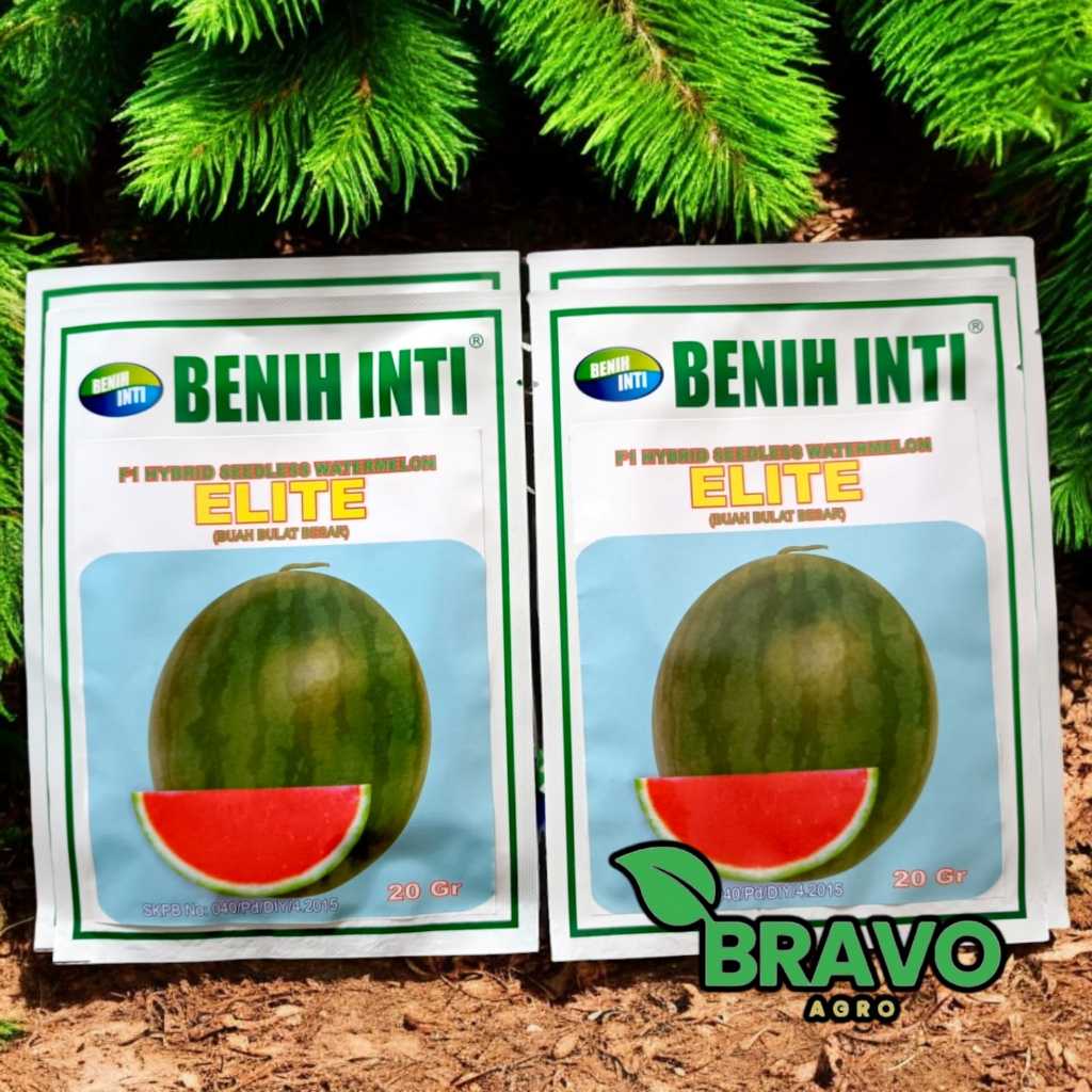 Jual BENIH SEMANGKA F1 HYBRIDA ELITE (BUAH BULAT LEBAR) 20GR - BENIH ...