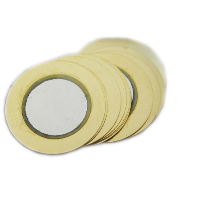 Jual Piezoelectric Ceramic Buzzer 20mm Element Sounder Sensor Sound Disc Piezo Electric | Shopee ...