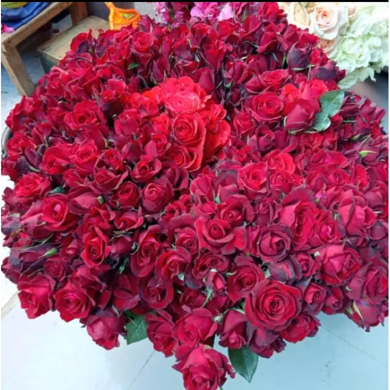 Jual Mawar Segar Per Ikat 1 Warna | Shopee Indonesia