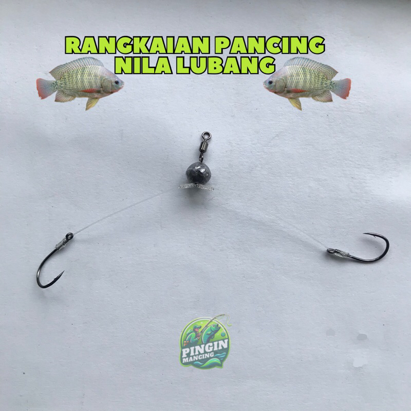 Jual Rangkaian Mancing Ikan Nila Lubang Gopak 2 Mata Kail | Shopee Indonesia