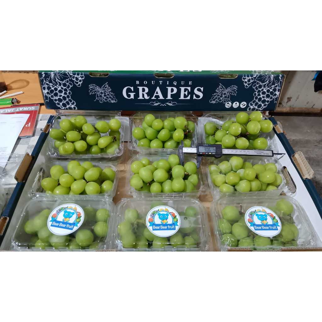 Jual anggur hijau seedless 500 gr | Shopee Indonesia
